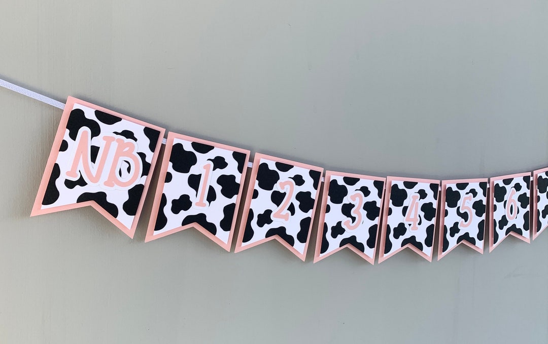 Holy Cow Im One Pink Cow Monthly Photo Banner Prop Birthday - Etsy