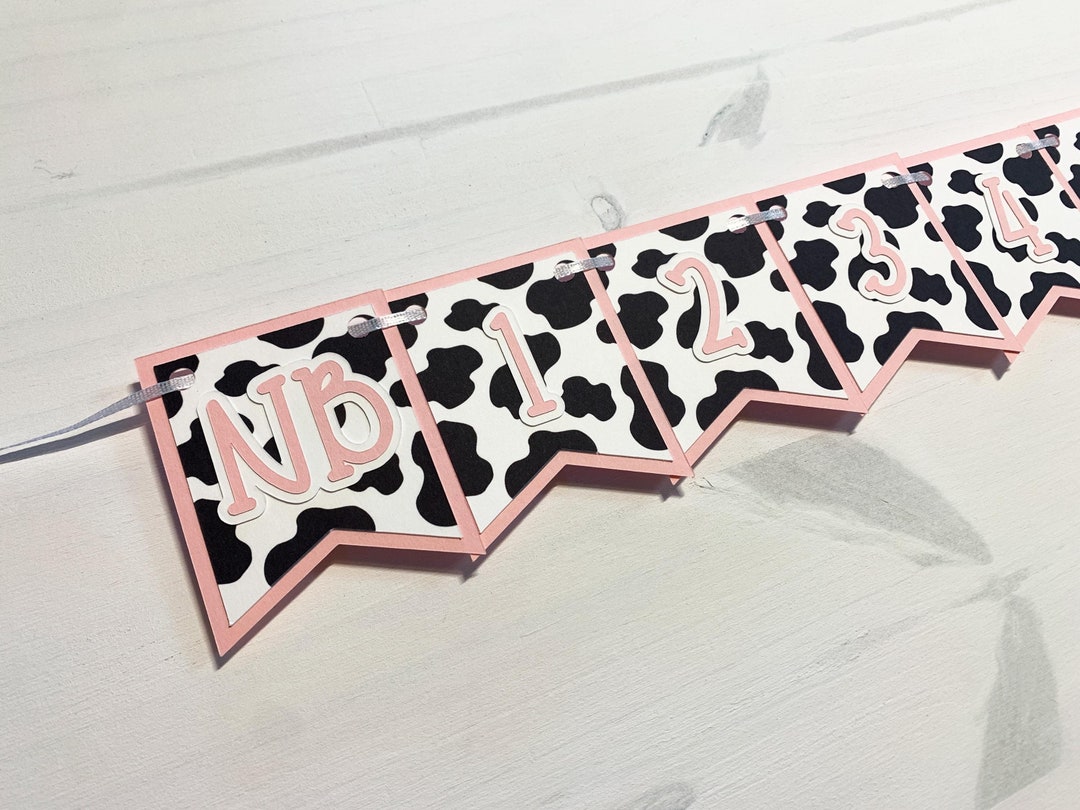 Holy Cow I’m One Pink Cow Monthly Photo Banner Prop Birthday Decoration ...