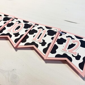 Holy Cow I’m One Pink Cow Monthly Photo Banner Prop Birthday Decoration ...