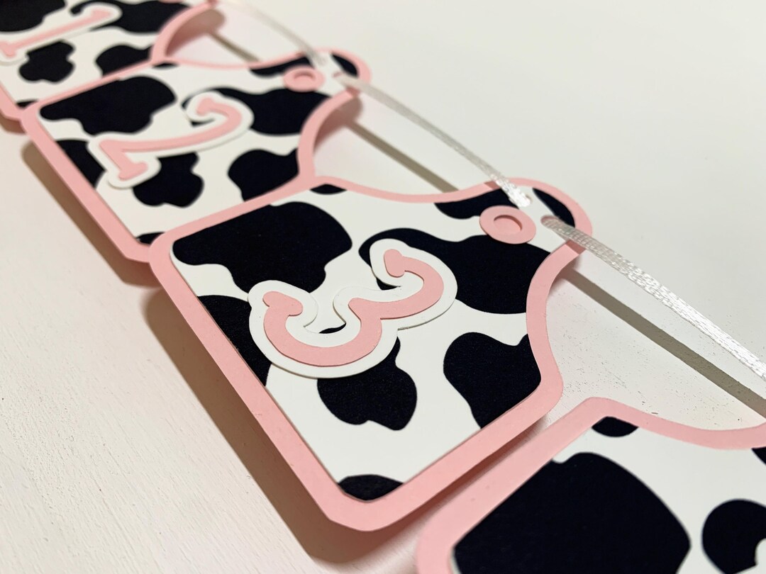 Holy Cow I’m One Pink Cow Ear Tag Monthly Photo Banner Prop Birthday ...