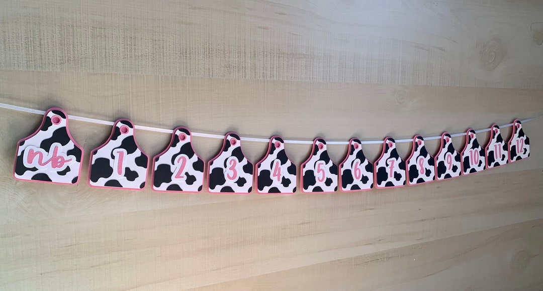 Holy Cow Im One Pink Cow Ear Tag Monthly Photo Banner Prop - Etsy