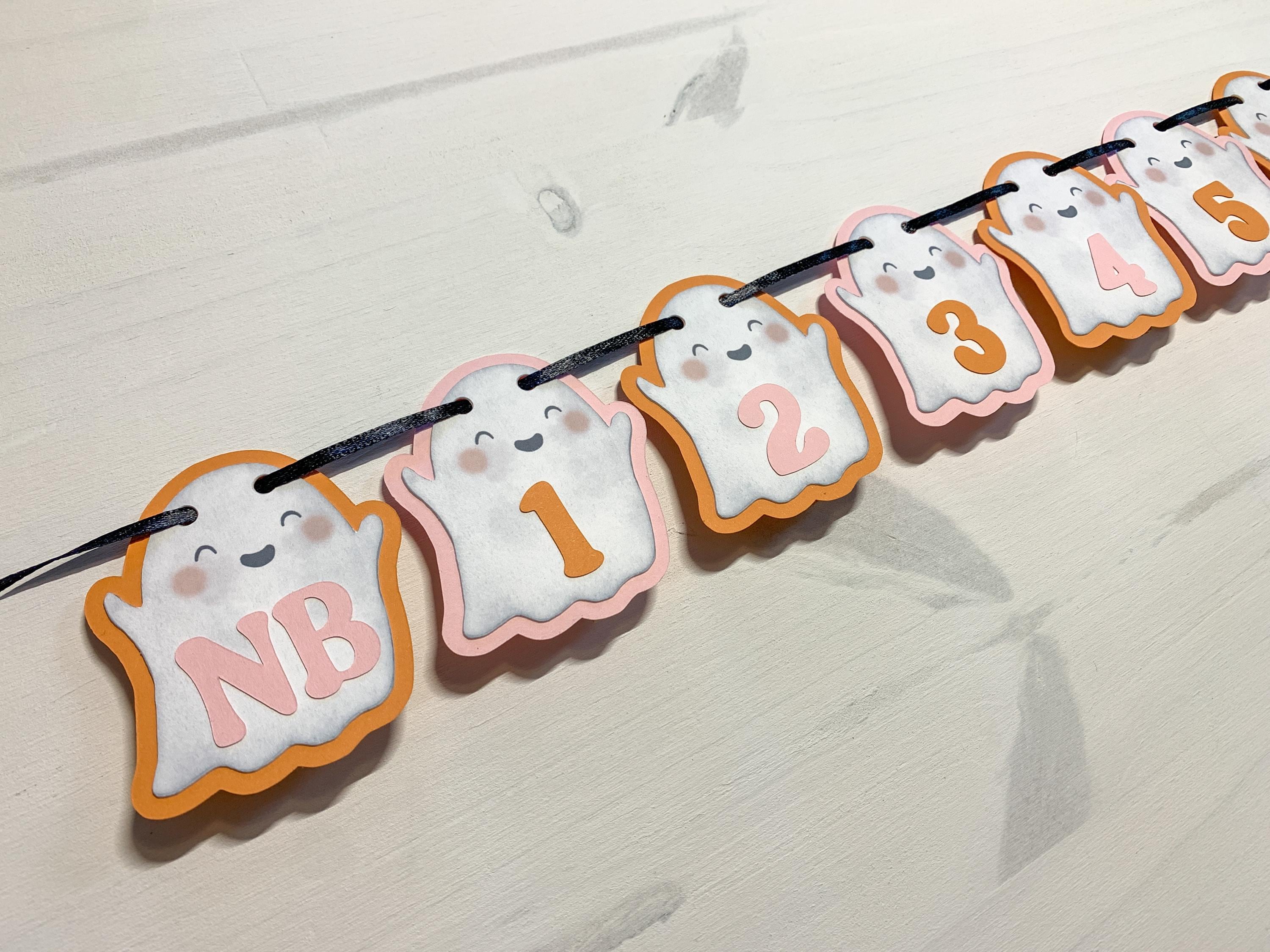 Spooky One Little Boo Ghost Themed Halloween Monthly Photo Prop ...
