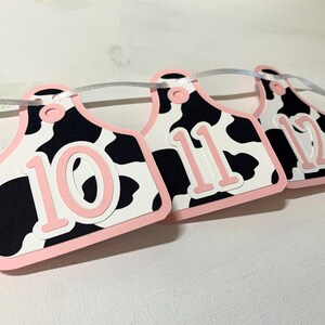 Holy Cow I’m One Pink Cow Ear Tag Monthly Photo Banner Prop Birthday ...