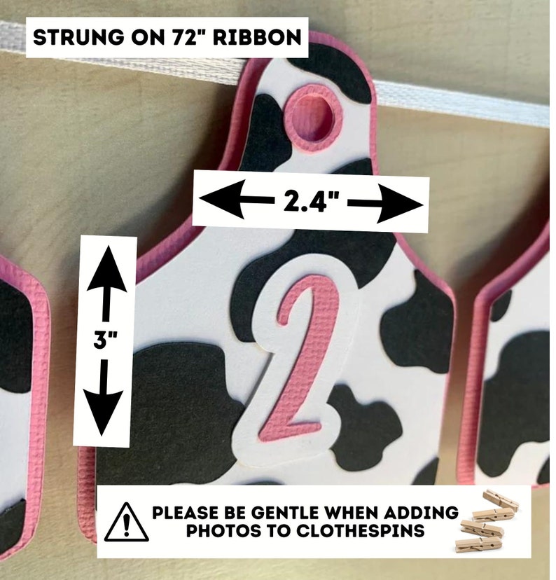 Holy Cow Im One Pink Cow Ear Tag Monthly Photo Banner Prop - Etsy