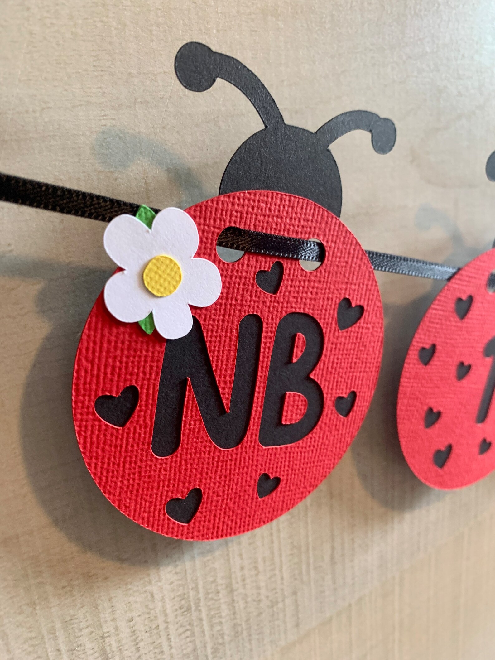 Ladybug Monthly Photo Banner Prop Birthday Decoration - Etsy