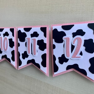 Holy Cow Im One Pink Cow Monthly Photo Banner Prop Birthday - Etsy