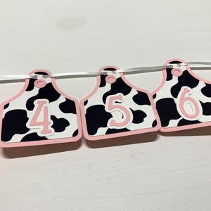 Holy Cow I’m One Pink Cow Ear Tag Monthly Photo Banner Prop Birthday ...