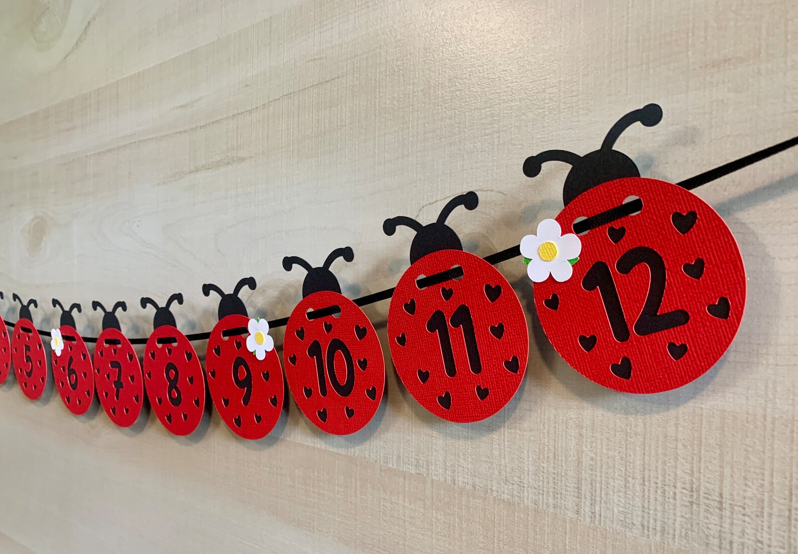 Ladybug Monthly Photo Banner Prop Birthday Decoration - Etsy