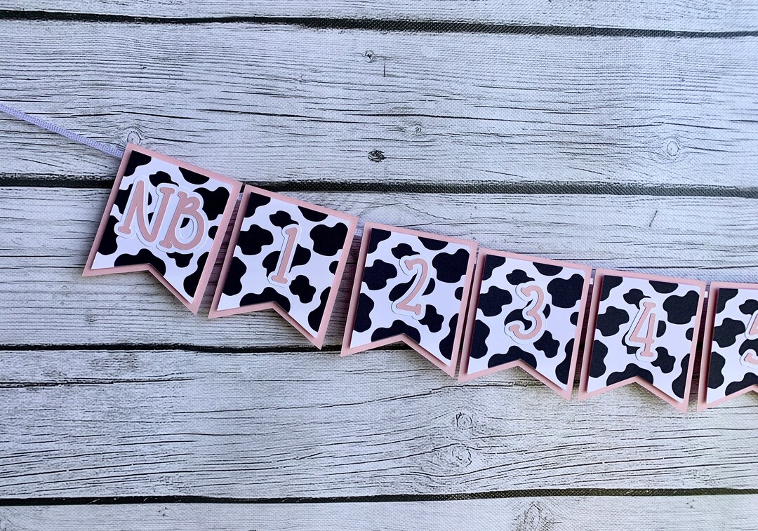 Holy Cow Im One Pink Cow Monthly Photo Banner Prop Birthday Decoration ...