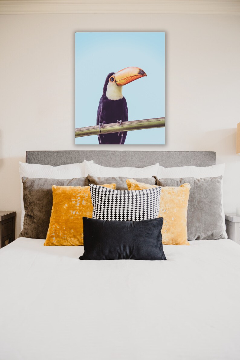 Toucan Wall Art, Bird Photo, Printable Wall Art, Blue, Wall Decor ...