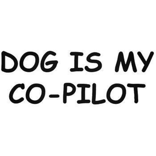 My Dog is My Copilot - Etsy