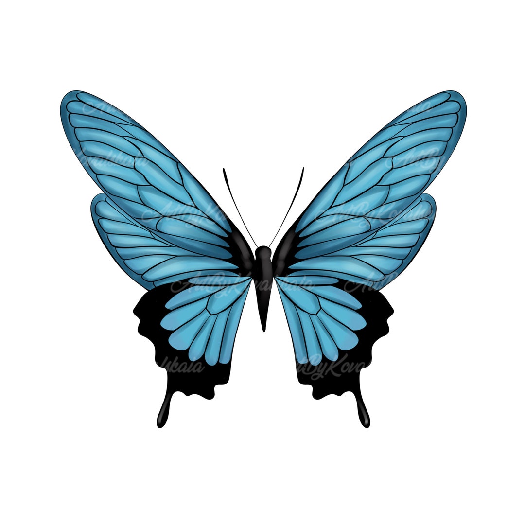 Butterfly Clipart, Butterfly PNG, Digital Download - Etsy