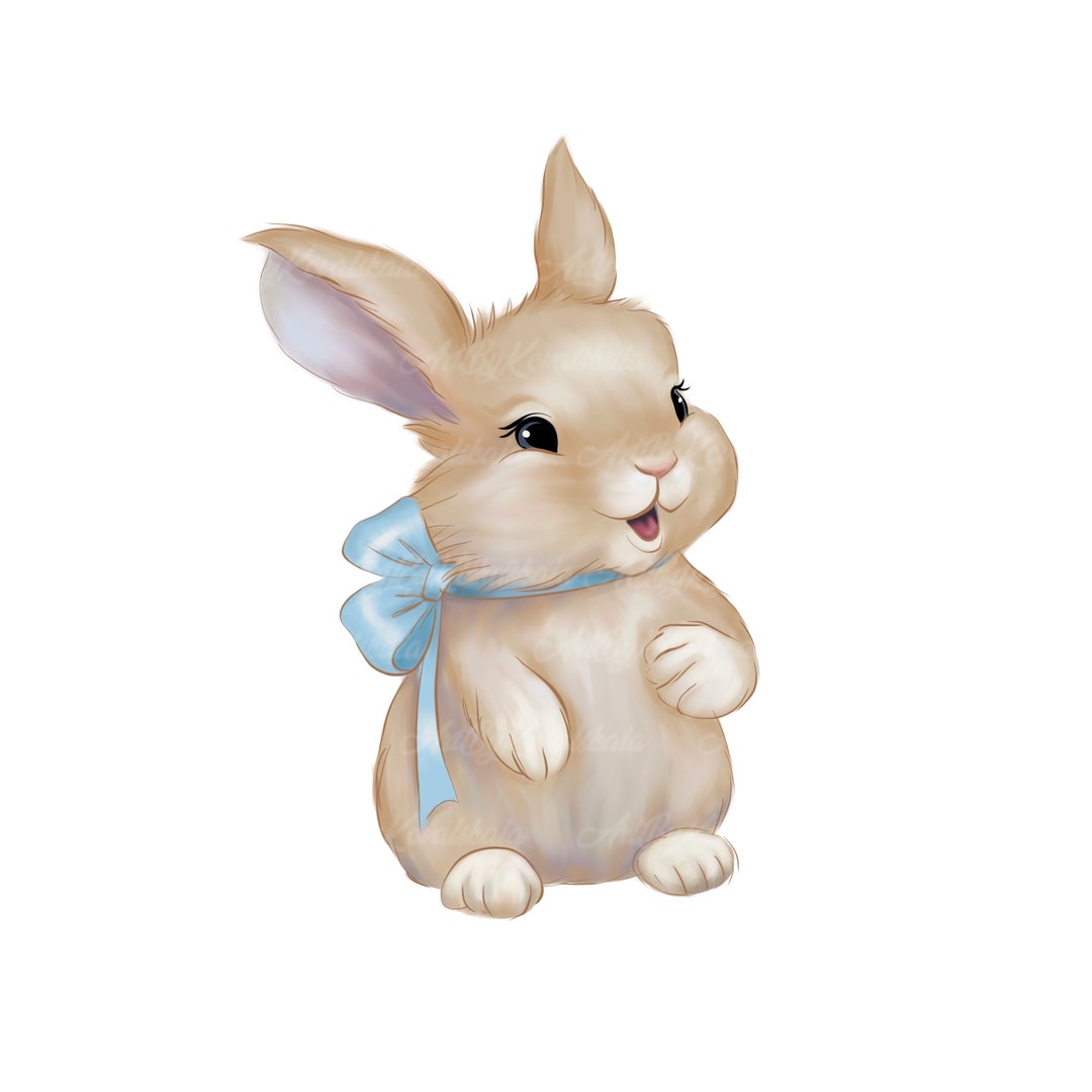 Bunny Clipart, Rabbit PNG, Baby Shower Boy, Descarga digital - Etsy México