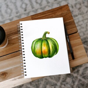 Watercolor Green Pumpkin Clipart PNG Thanksgiving Clip Art - Etsy
