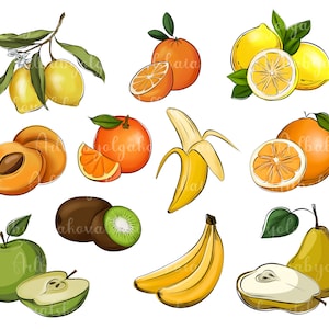 Fruits Clipart, Fruits PNG, Apple, Lemon, Banana, Kiwi, Orange, Apricot ...