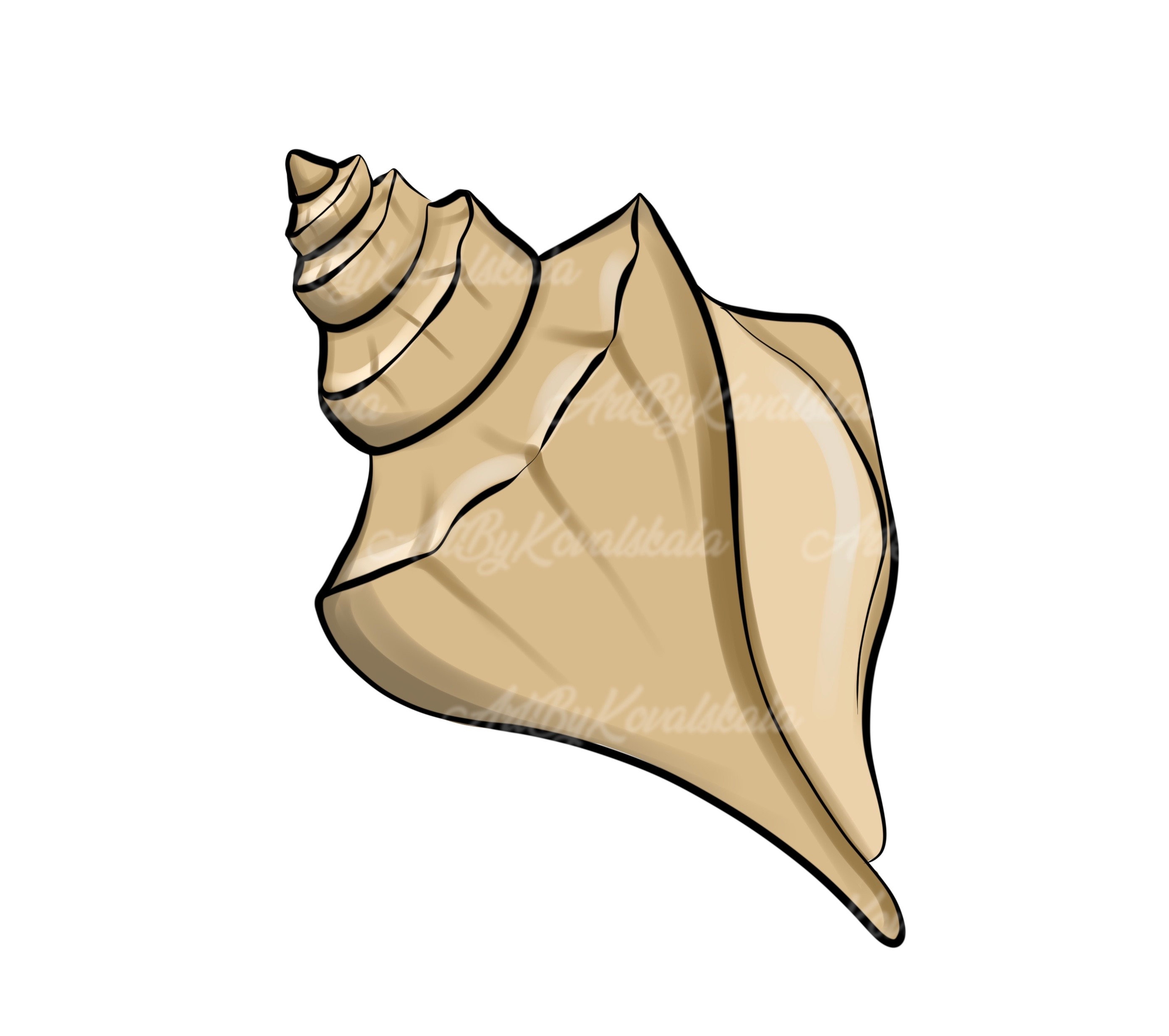 Shell PNG, Shell Clip Art, Sea Clipart, Digital Download - Etsy