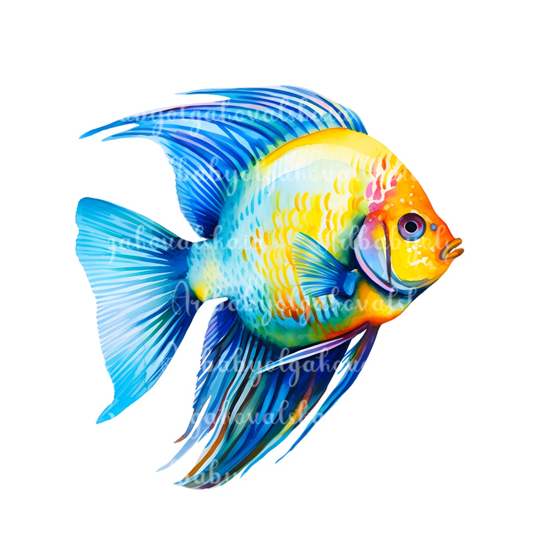 Watercolor Tropical Fish Clipart: Sea World PNG (digital Download) - Etsy