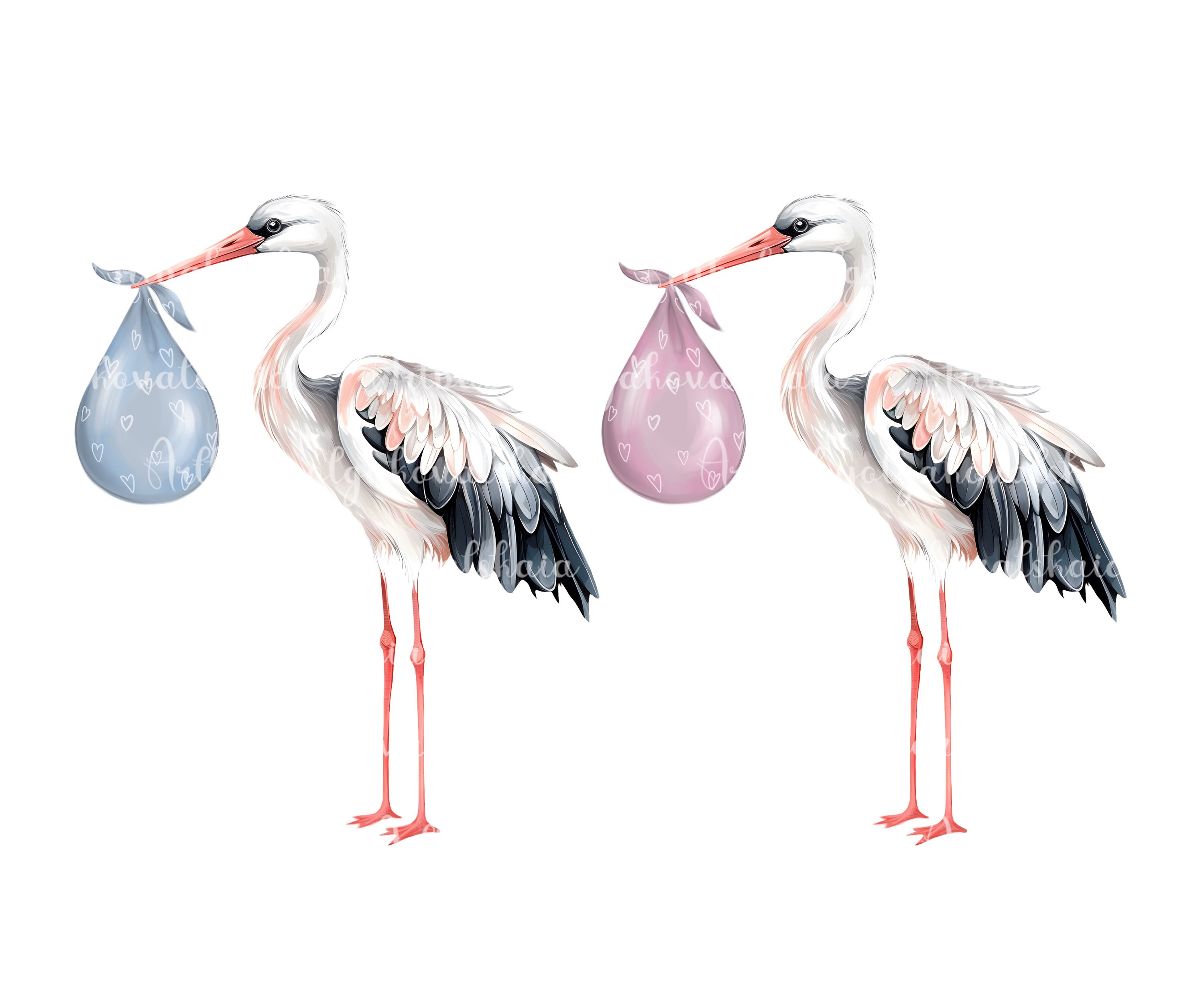 Stork Baby Shower Clipart, Stork PNG, Gender Reveal, Baby Shower Clip ...