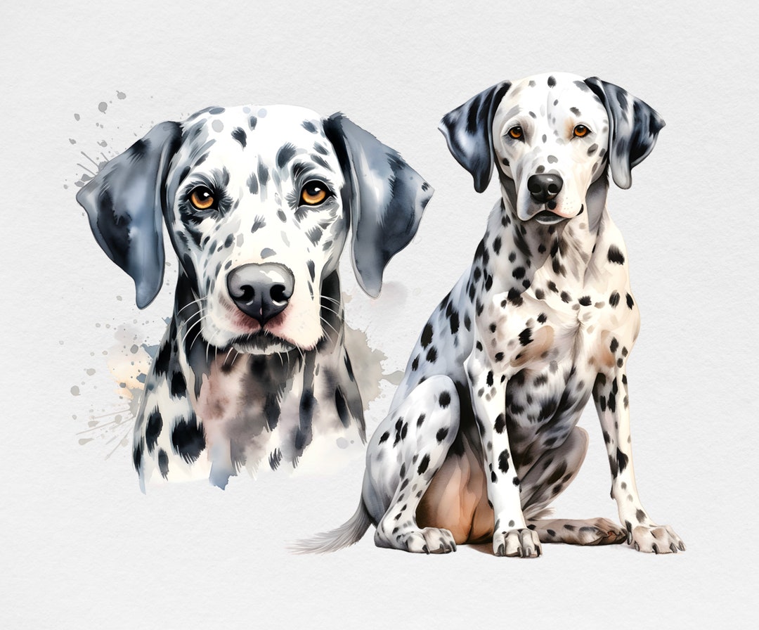 Watercolor Dalmatian Dog PNG, Puppy Clip Art, Digital Download - Etsy