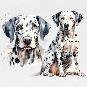 Watercolor Dalmatian Dog PNG, Puppy Clip Art, Digital Download - Etsy