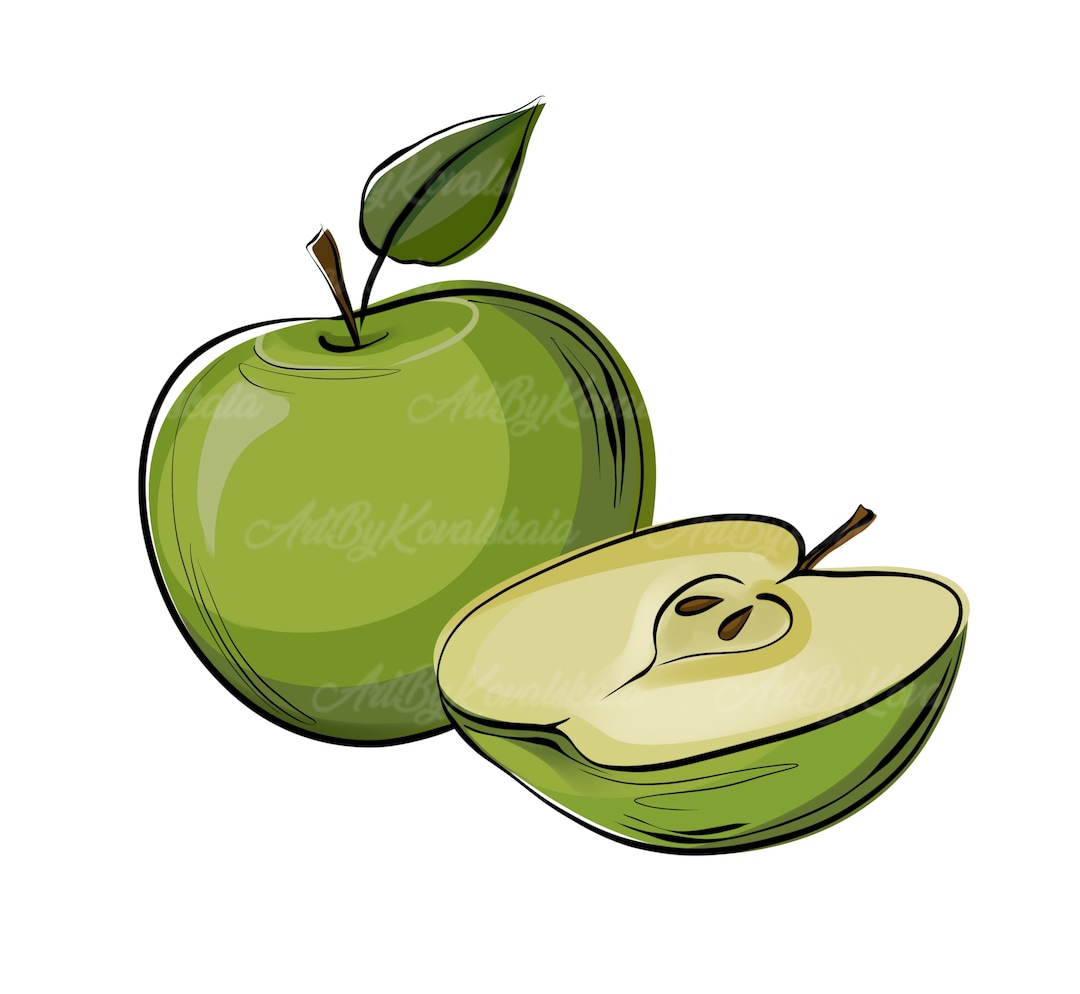 Apple Clipart, Green Apple PNG, Fruits Clip Art, Digital Download - Etsy