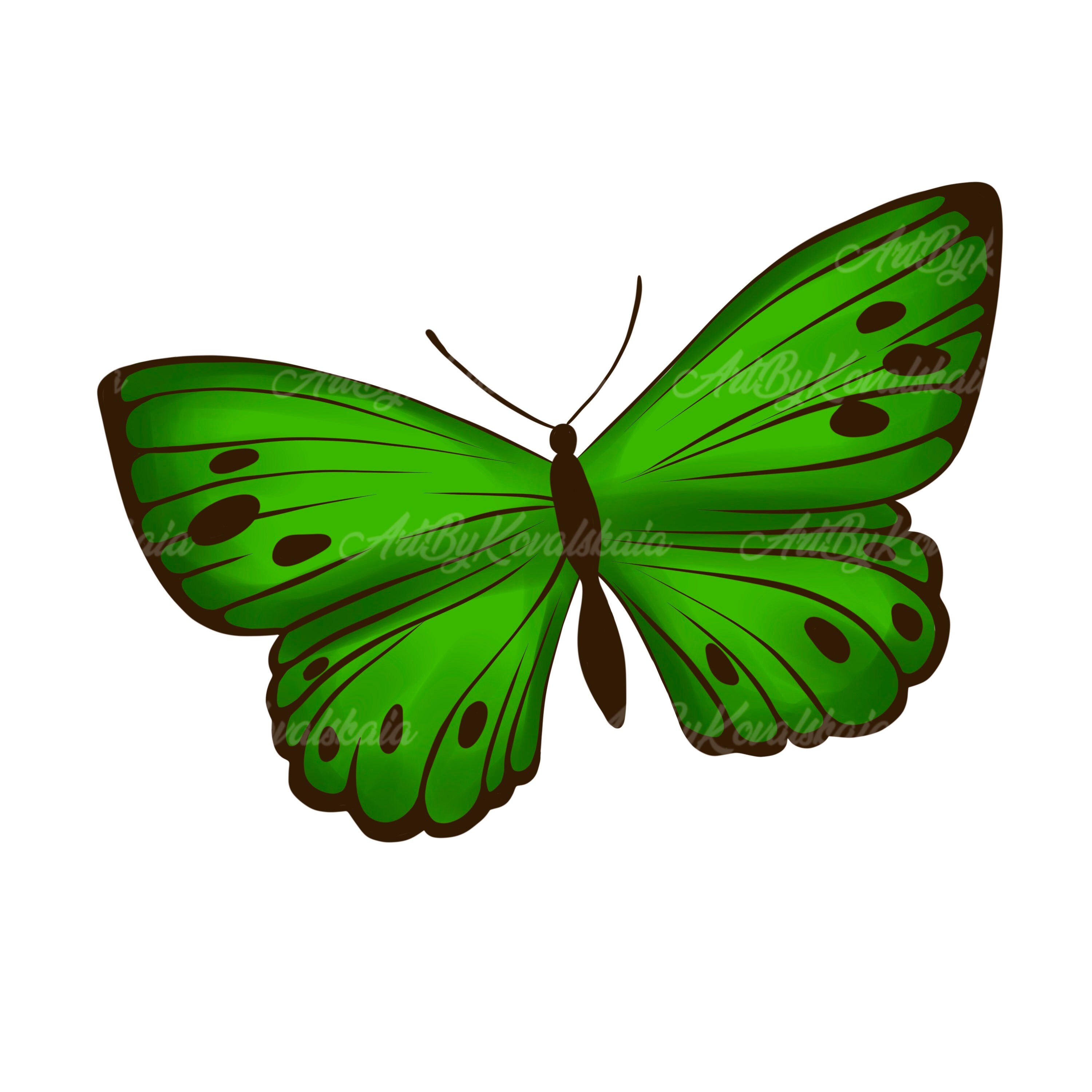 Butterfly Clipart Watercolor Butterfly Png Digital Download Etsy