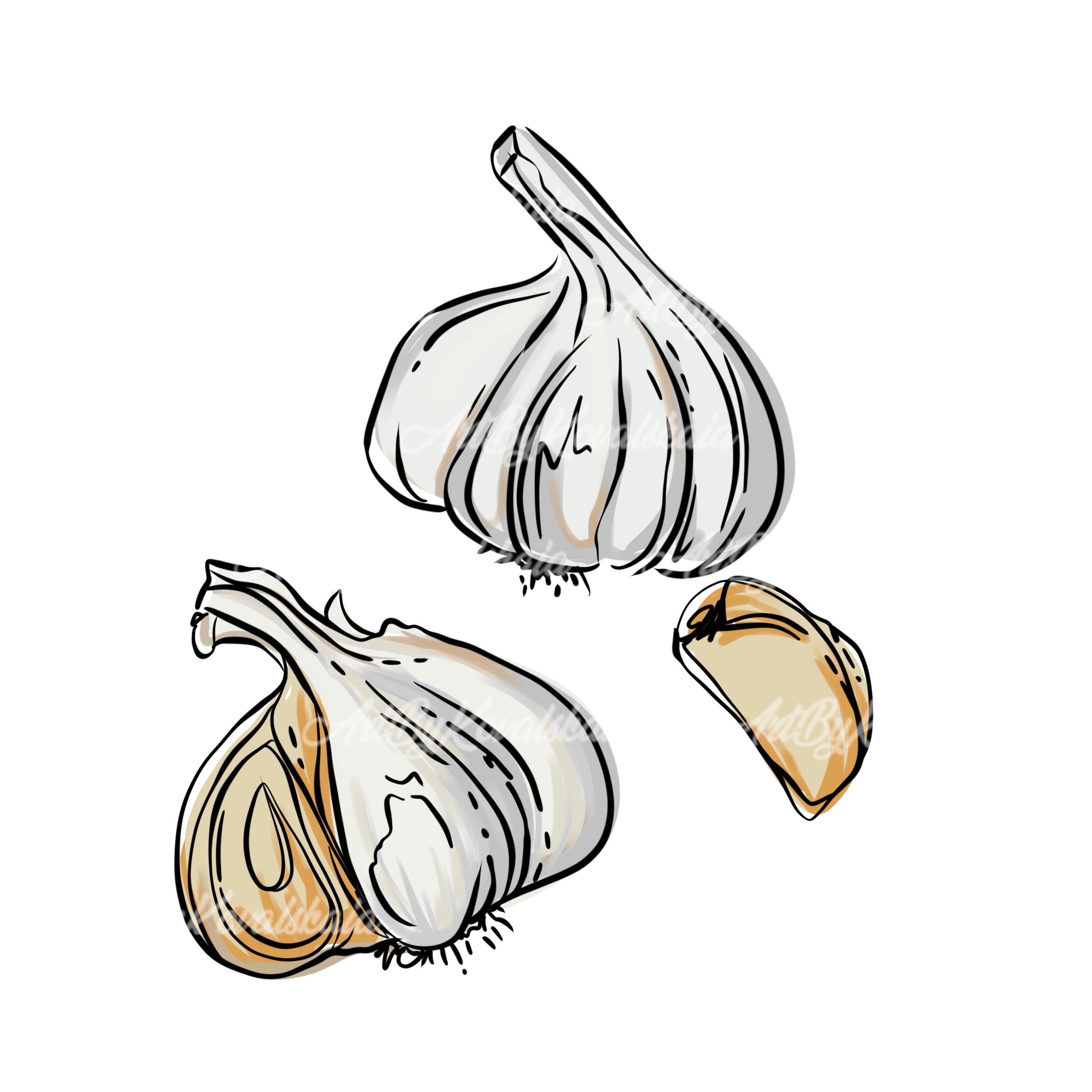 Garlic Clipart, Garlic PNG, Digital Download - Etsy