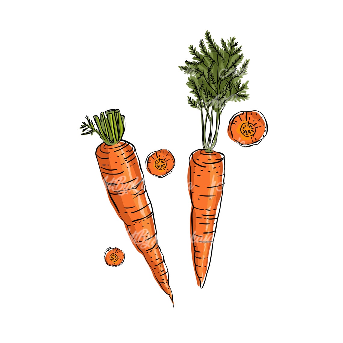 Carrot Clipart, Carrots PNG, Vegetables Clip Art, Digital Download - Etsy