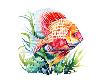 20 Transparent Background Funny Kissy Face Fish Clip Art, PNG 300 Dpi ...