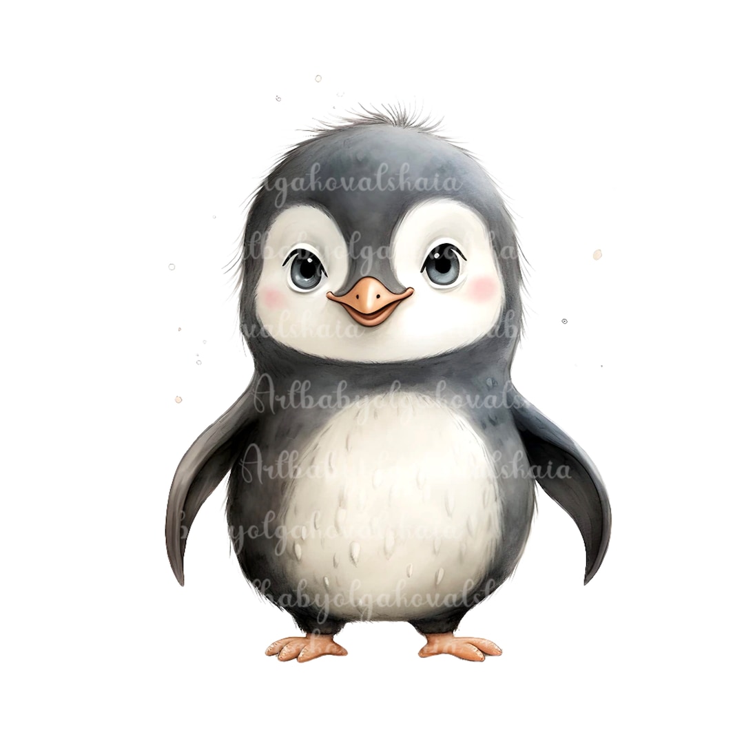 Penguin Clipart, Watercolor Penguin PNG, Digital Download - Etsy