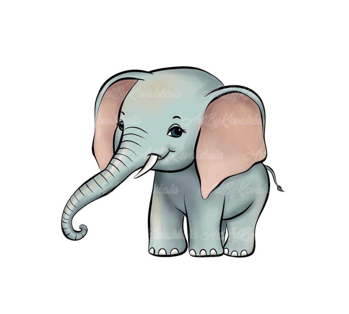 Elephant Clipart, Elephant PNG, Digital Download - Etsy