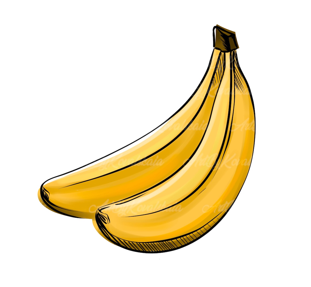Bananas Clipart, Banana PNG, Fruits Clip Art, Digital Download - Etsy