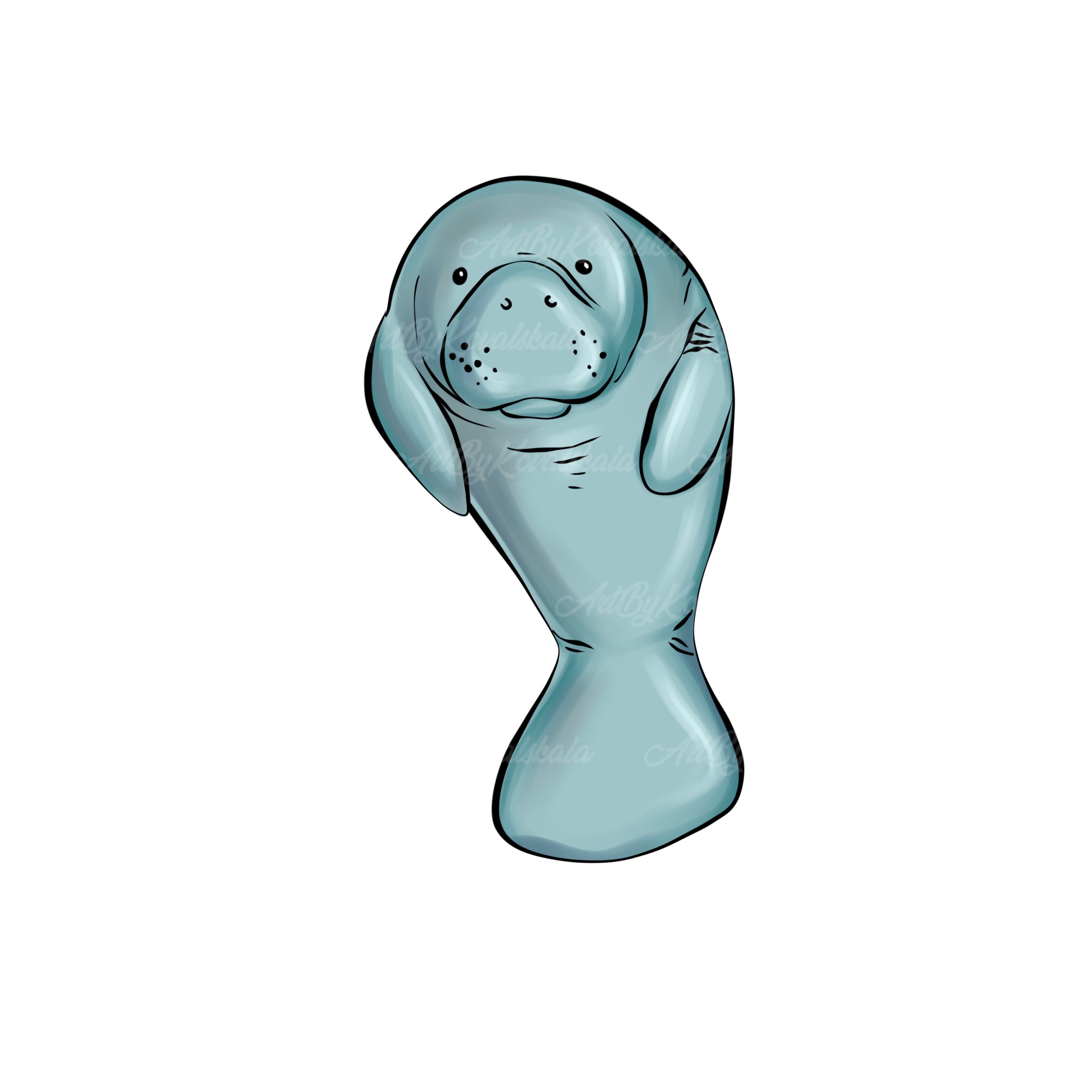Manatee Clipart, Manatee PNG, Digital Download - Etsy