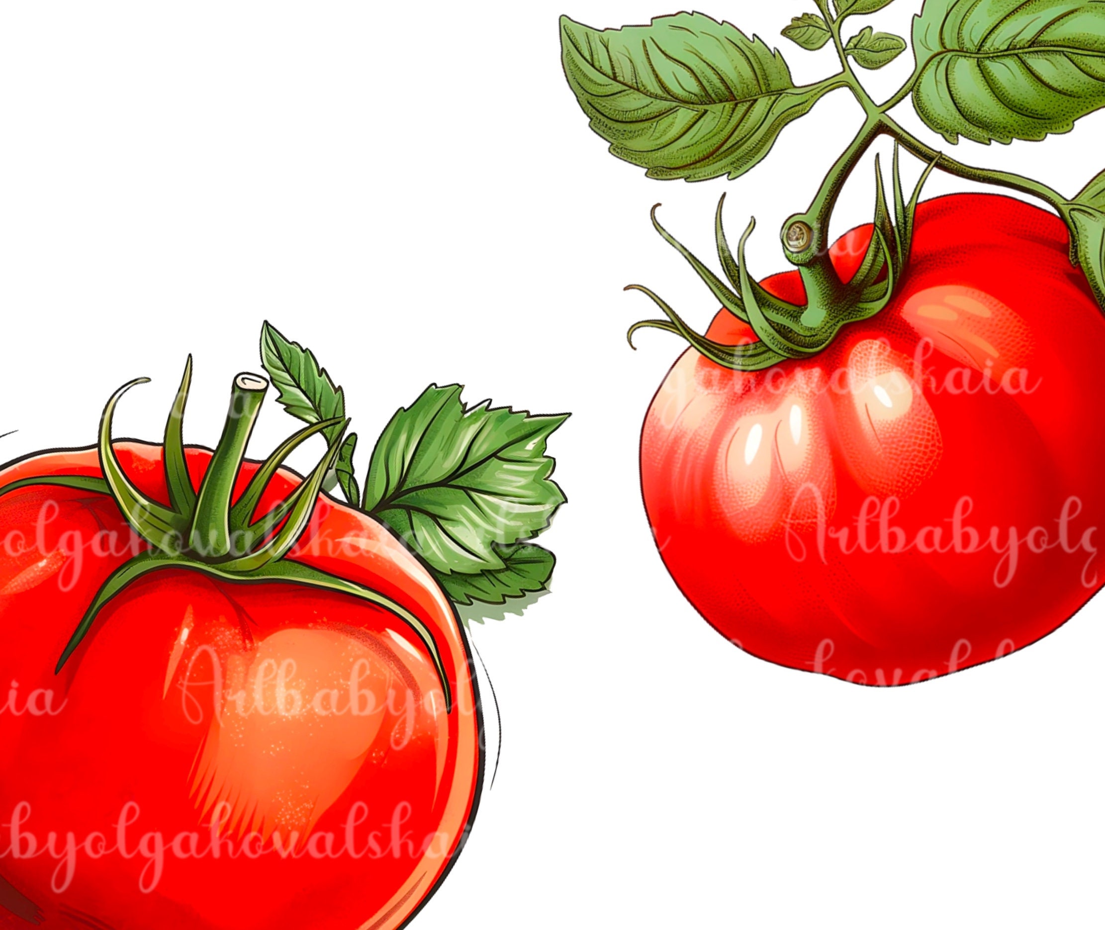 Tomatoes Clipart, Tomato PNG, Vegetable Clip Art, Digital Download - Etsy