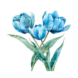 Tulips PNG, Watercolor Blue Tulips Clipart, Digital Download - Etsy