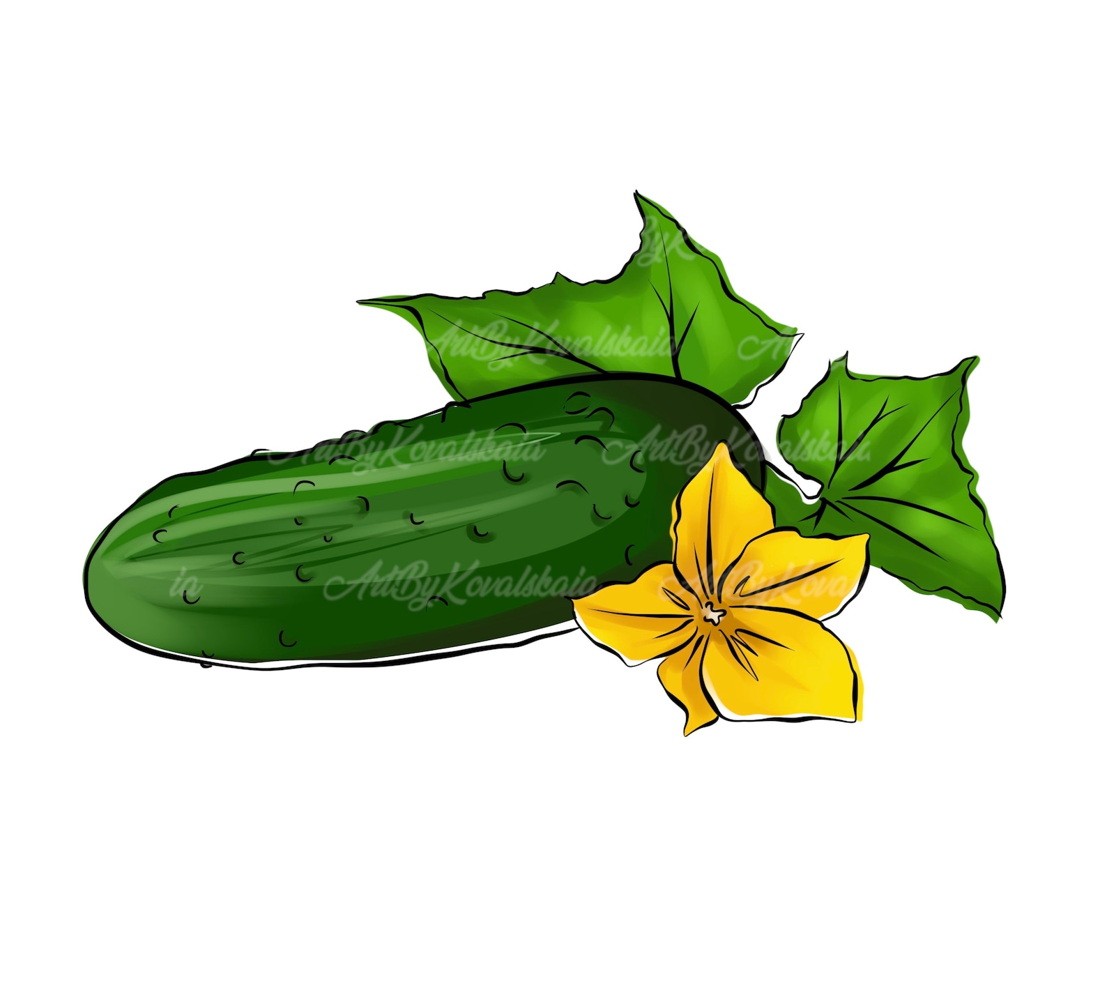 Cucumber Clipart, Cucumber PNG, Vegetable Clip Art, Digital Download - Etsy