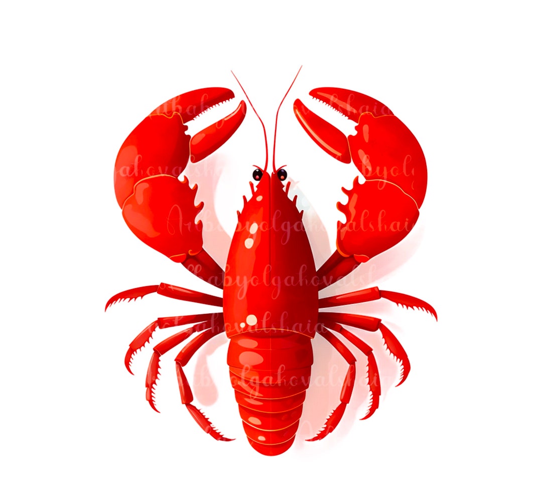 Lobster Clipart, Lobster PNG, Digital Download - Etsy