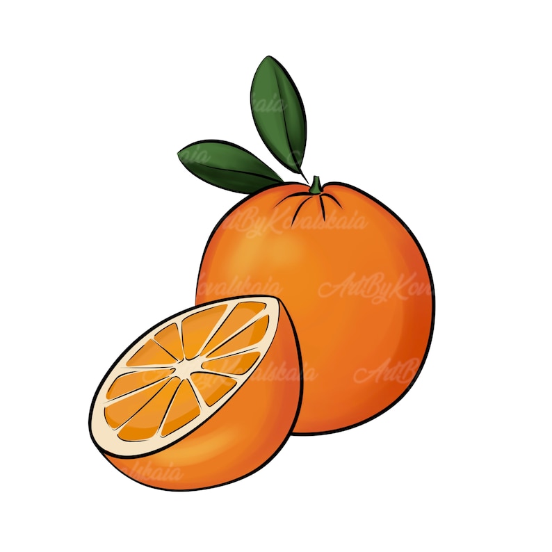 Oranges Clipart, Orange PNG, Fruits Clip Art, Digital Download - Etsy