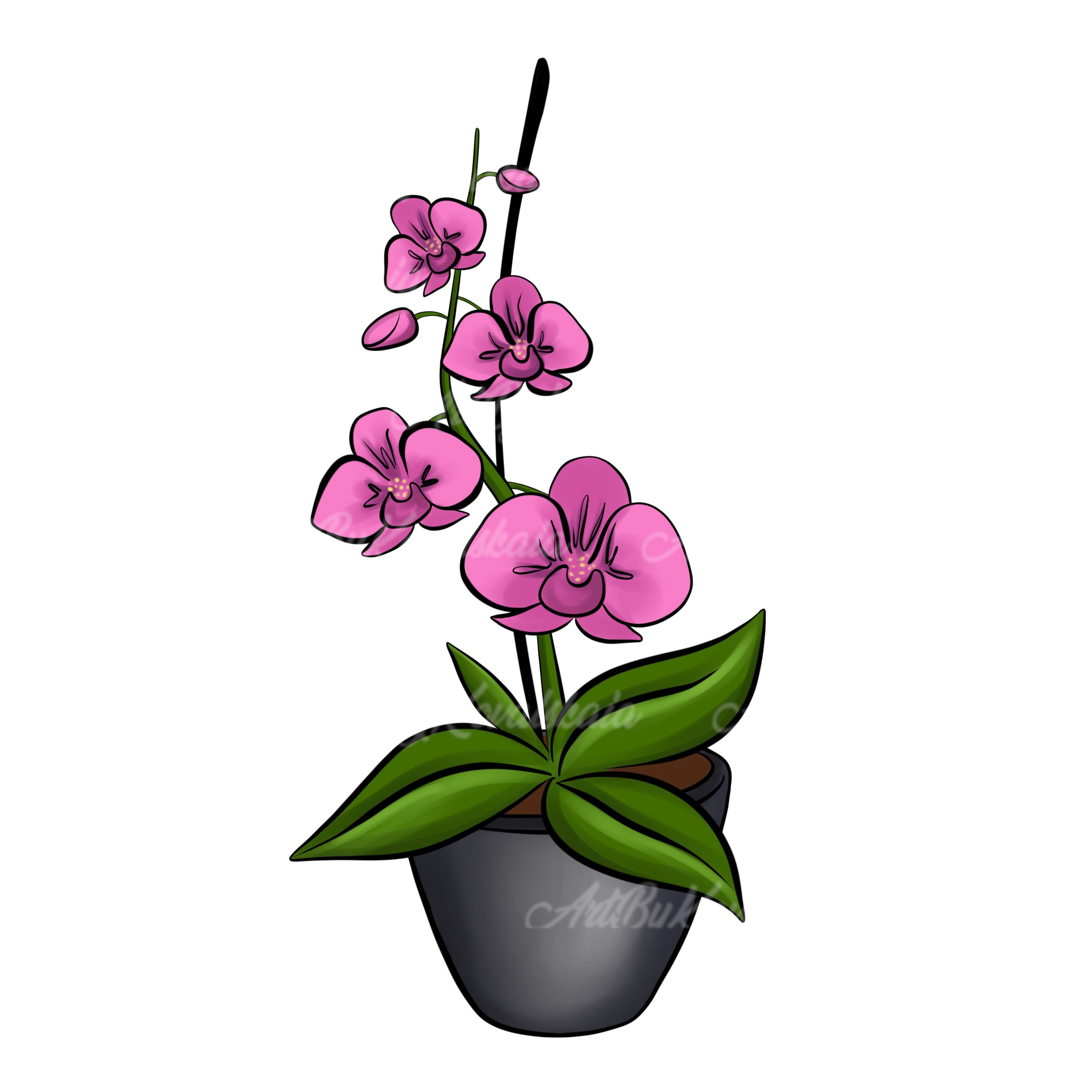 Orchid Clipart, Orchid Clipart, Digital Download - Etsy