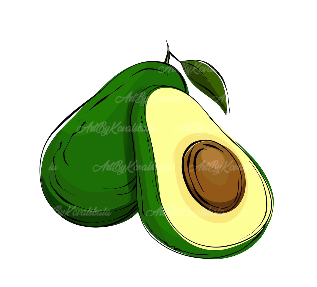 Avocado Clipart, Avocado PNG, Vegetable Clip Art, Digital Download - Etsy