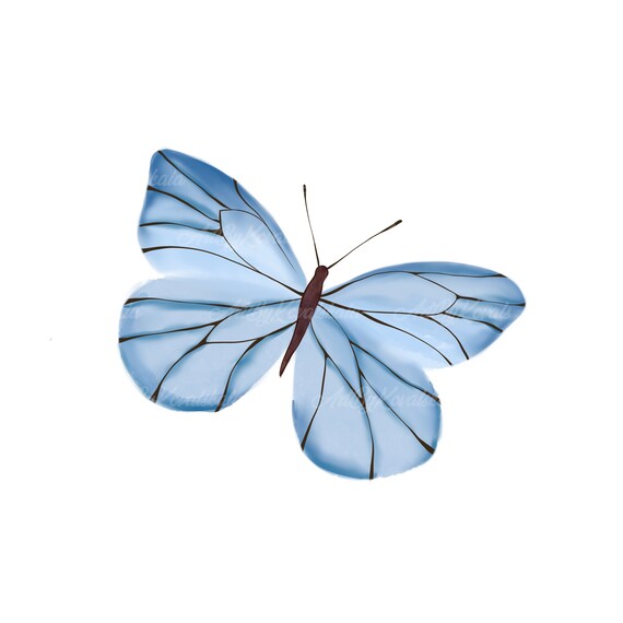 Single Butterfly Clipart Png