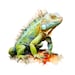 Iguana Clipart PNG, Watercolor Iguana Clipart, Digital Download - Etsy