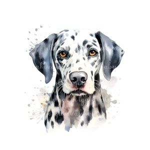 Watercolor Dalmatian Dog PNG, Puppy Clip Art, Digital Download - Etsy