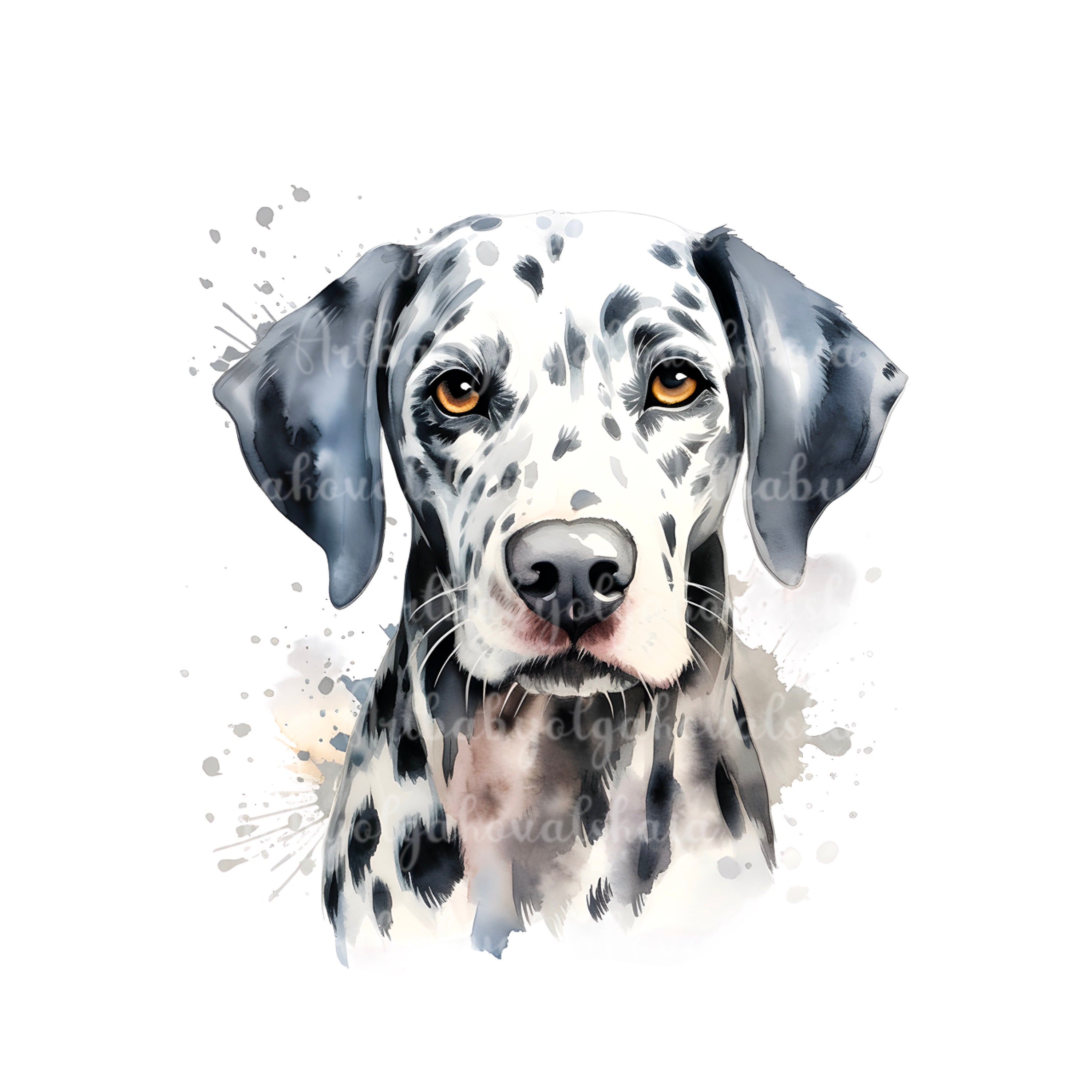 Watercolor Dalmatian Dog PNG Puppy Clip Art Digital Download - Etsy