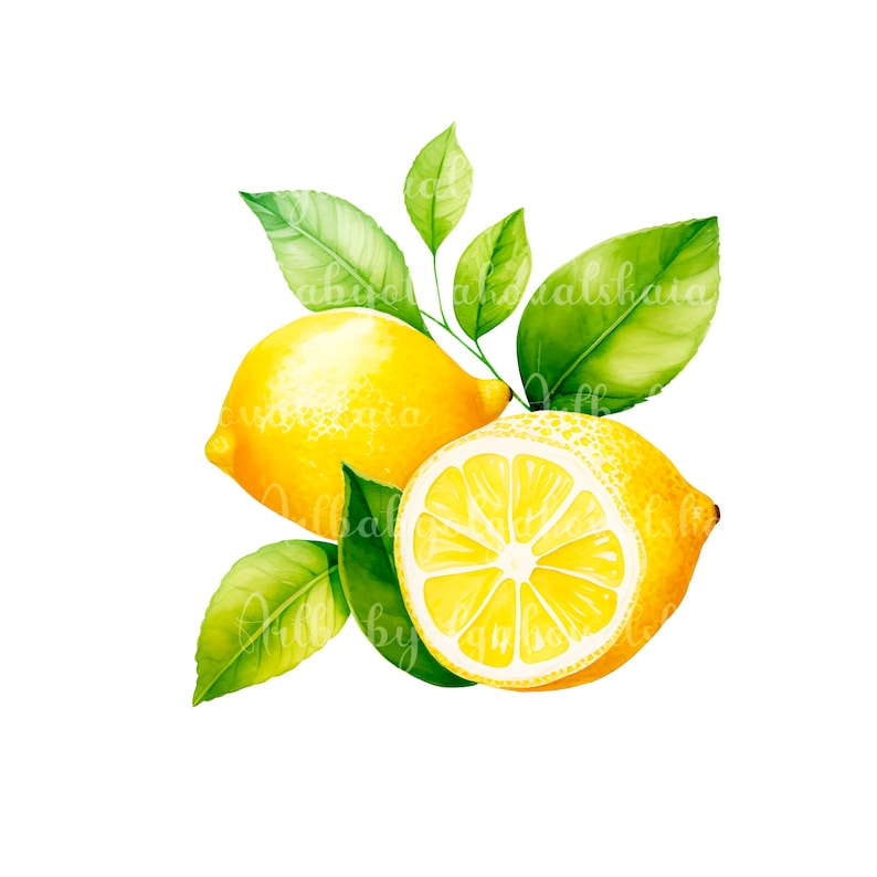 Watercolor Lemon Clipart, Lemons PNG, Fruits Clip Art, Digital Download ...
