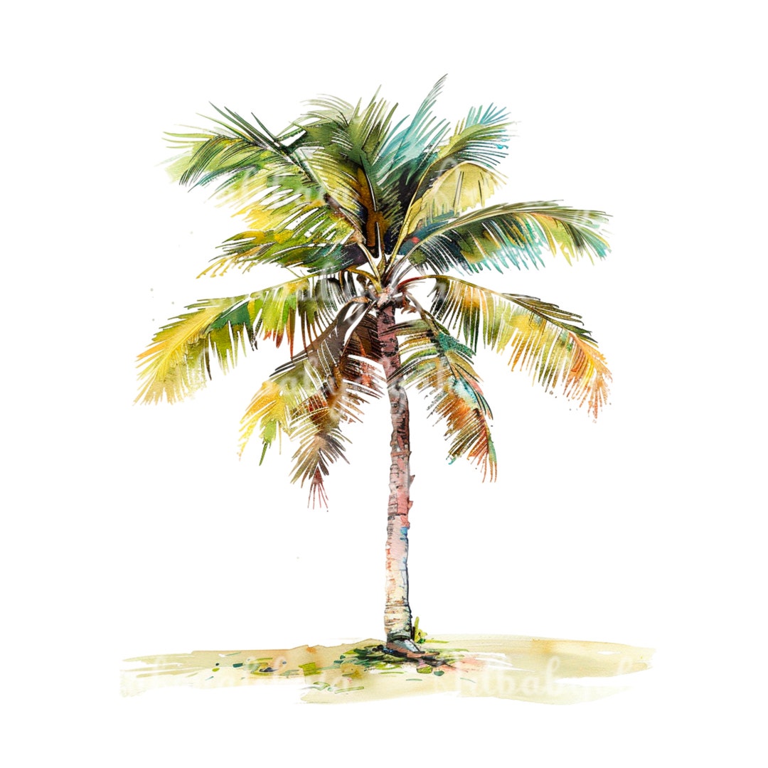 Watercolor Palm Tree Clipart: Tropical PNG (digital Download) - Etsy
