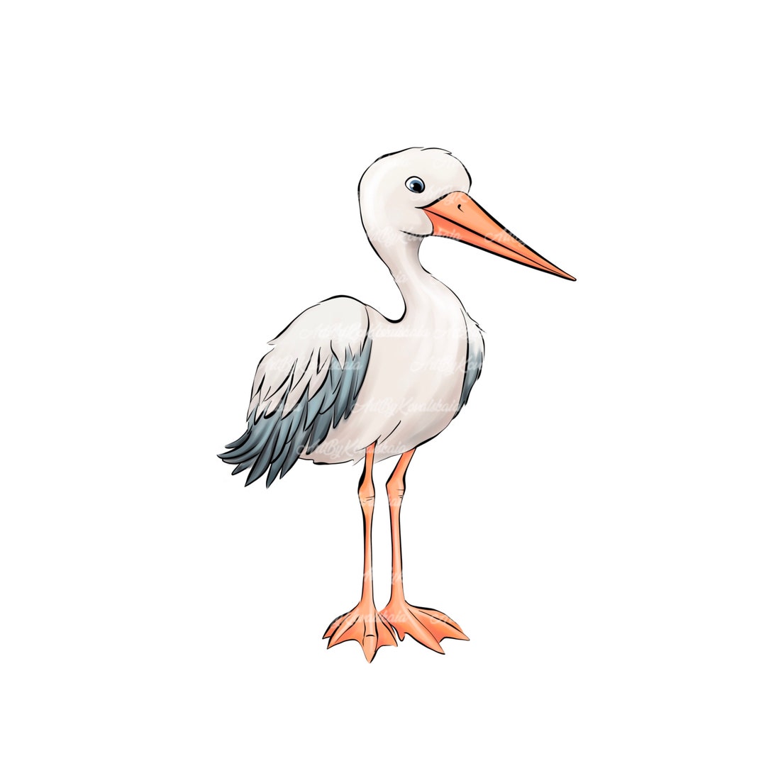 Stork Clipart, Stork PNG, Digital Download - Etsy
