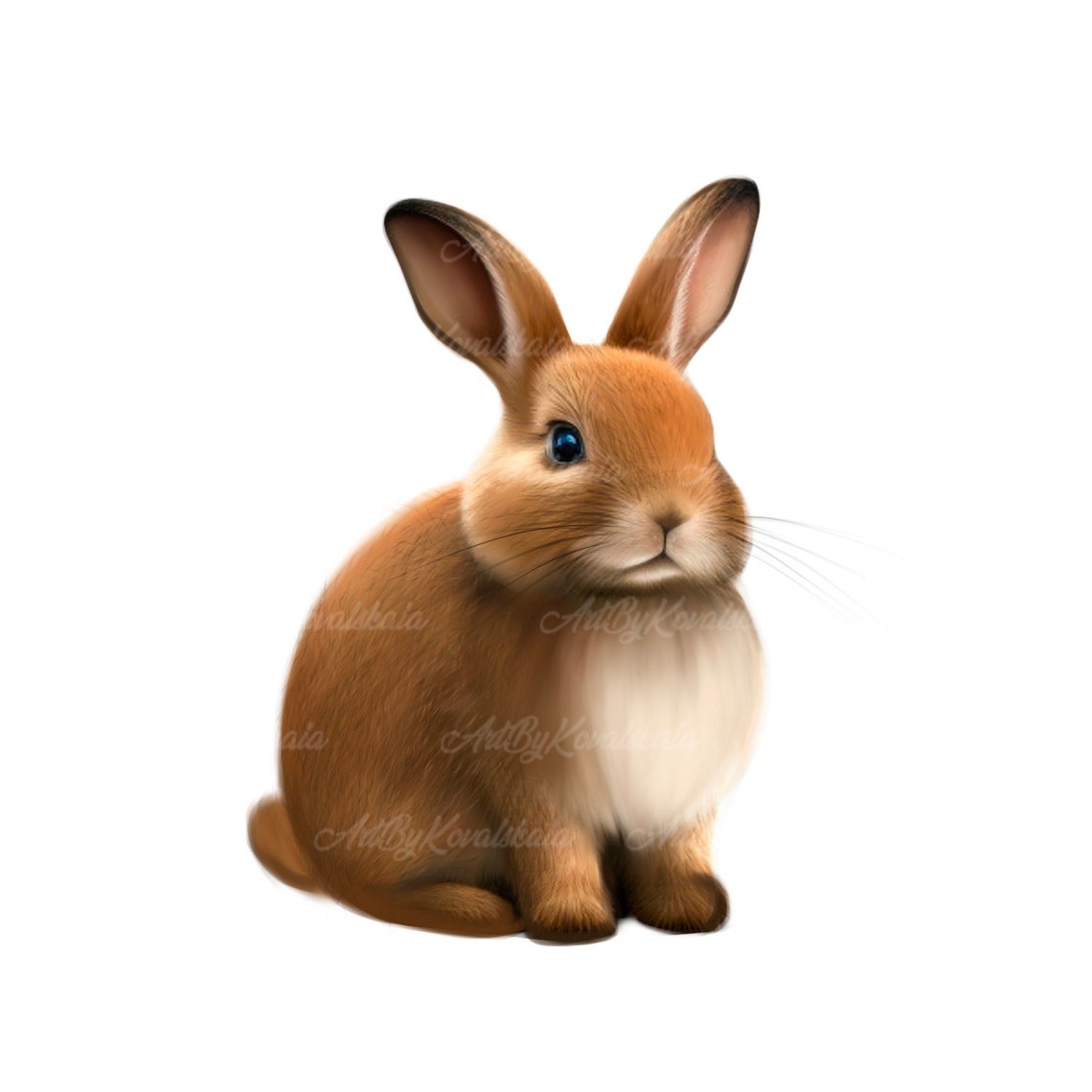 Bunny Clipart, Rabbit PNG, Digital Download - Etsy