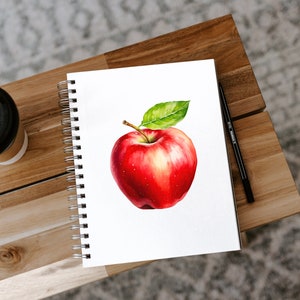 Watercolor Apple Clipart PNG, Fruits Clip Art, Digital Download - Etsy