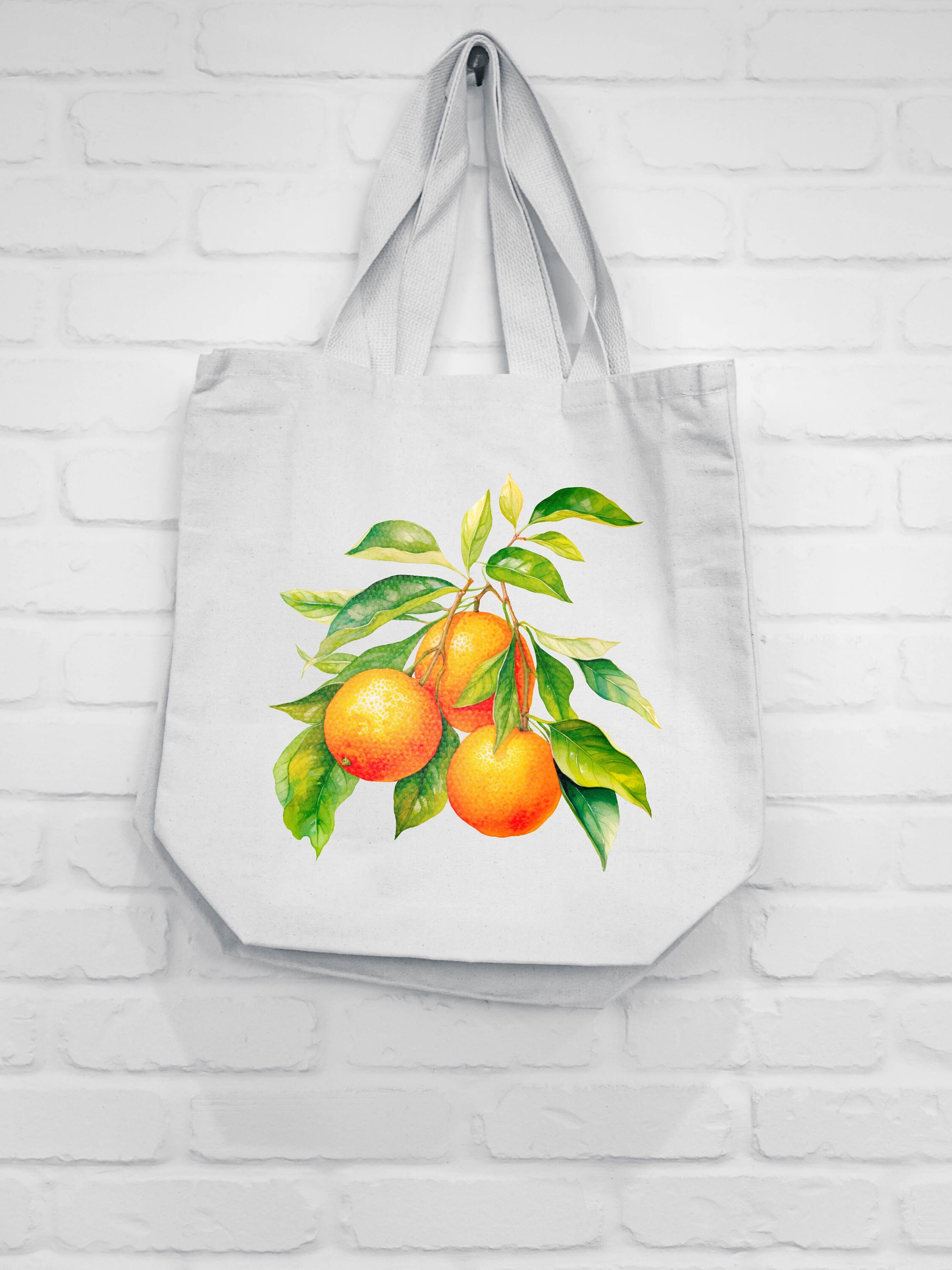 Watercolor Oranges Clipart, Citrus PNG, Fruits Clip Art, Digital ...